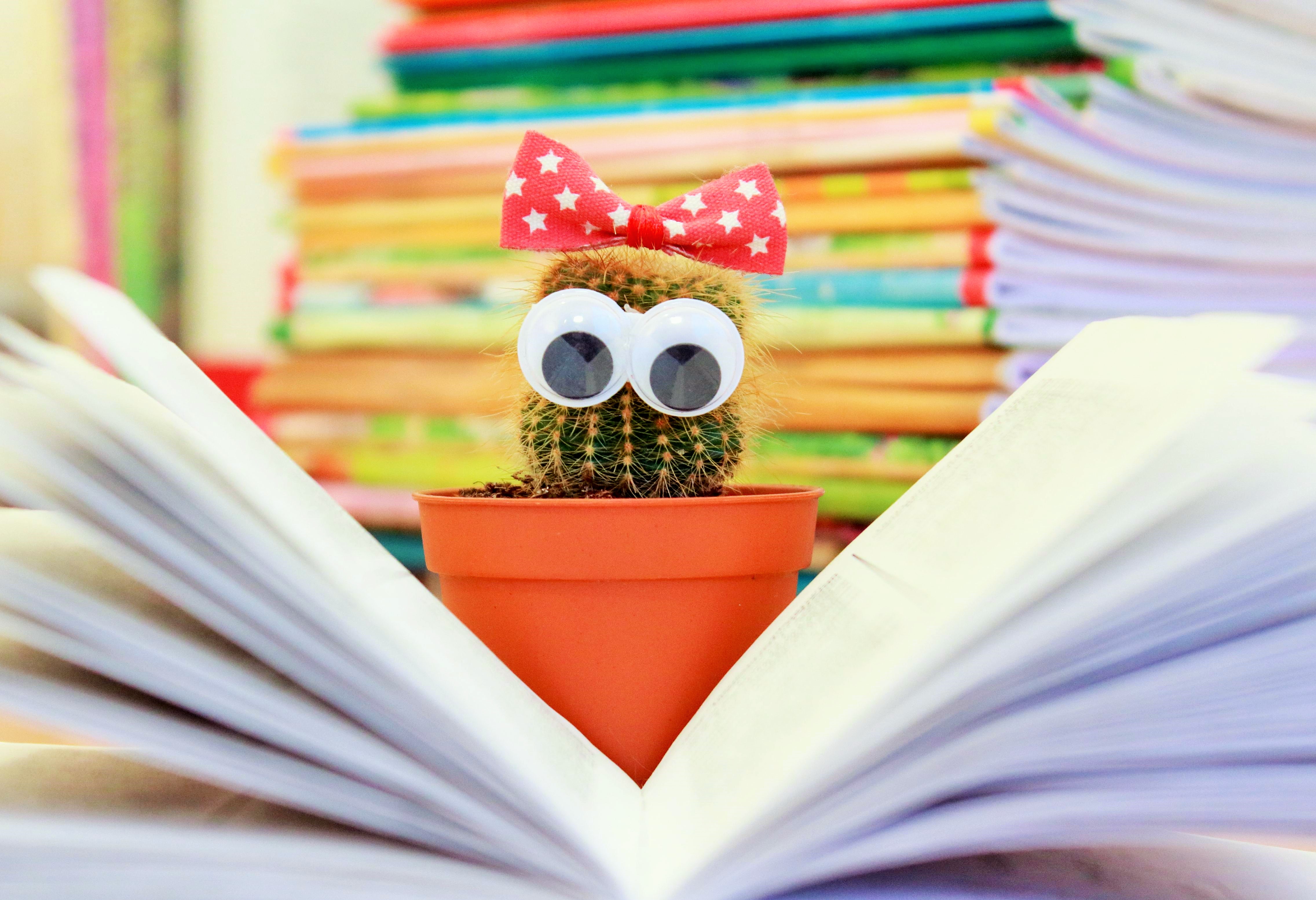 Cactus and book